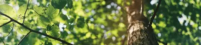 Blue Star Connect Outdoors | Blue Star Neighborhood